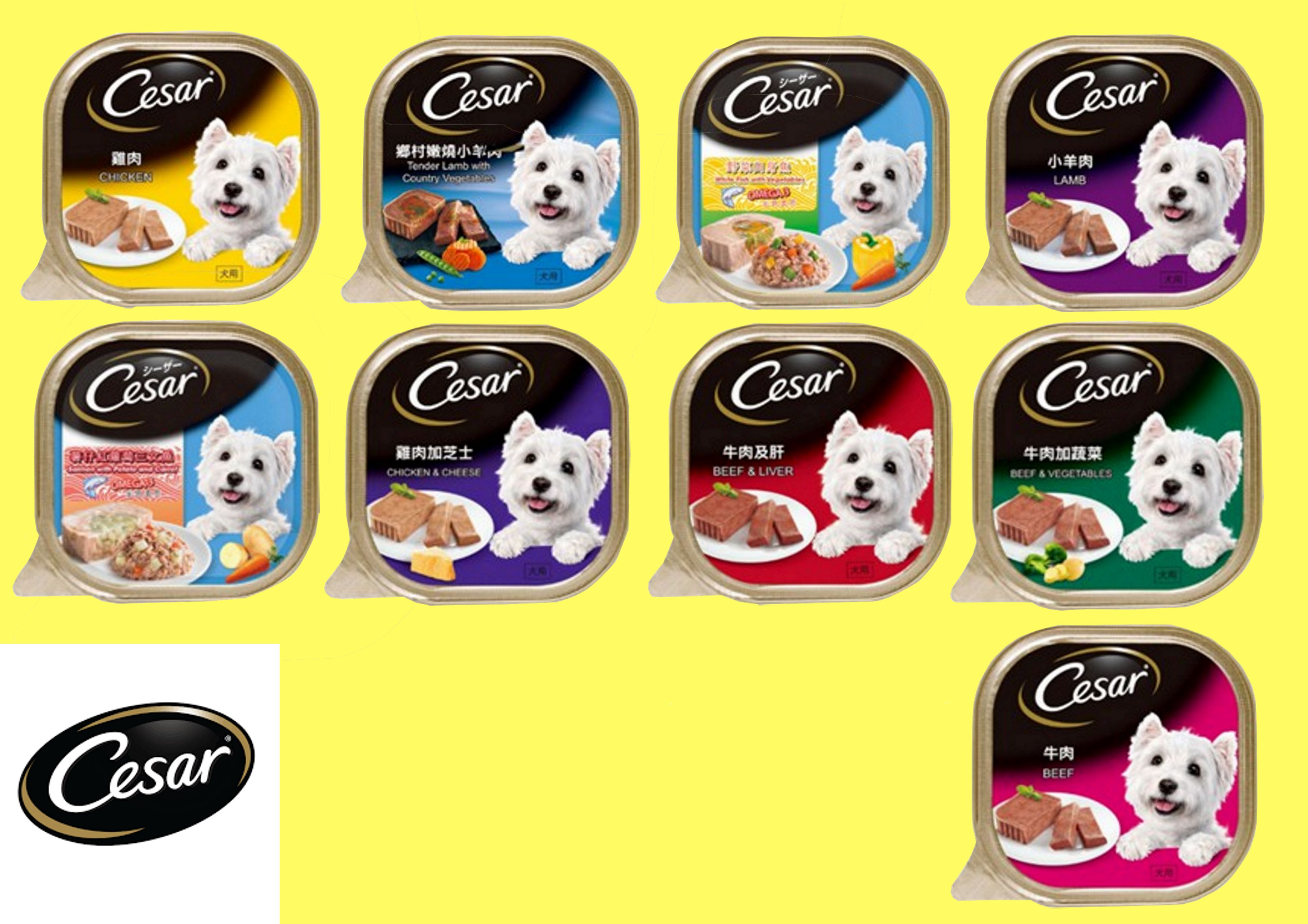 CESAR Dog Wet Food 100G